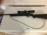 Daisy Powerline Model 35 | Multi-pump pneumatic Air Rifle | Airgun Depot